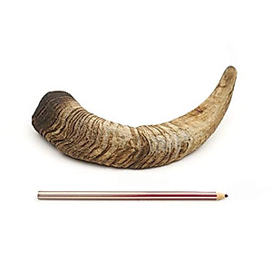 Herders Choice Chews Dried Goat Horns (Medium 2 pcs.)