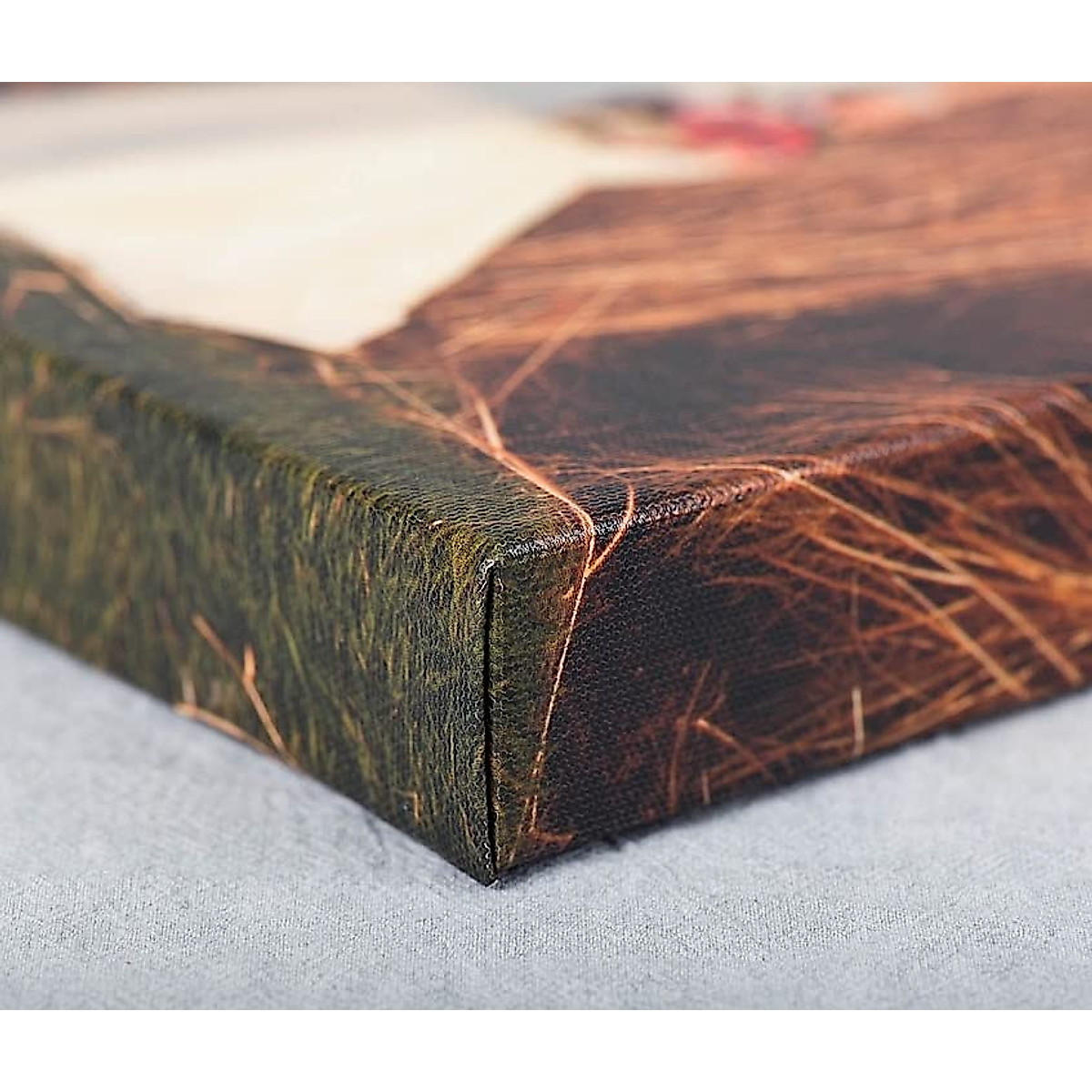 RC-Depot1 - Premium 60 ft Polyester matte Canvas roll waterproof 280 gsm (4 Size Available) quick dry wide format Inkjet Perfect for Fine Art Photography Giclée Printing (24 inch x 60 ft,)