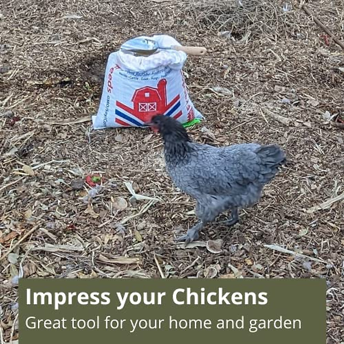 Giant 13.5” Stainless Steel Scoop with Long, Beautiful Wooden Handle. Perfect for Fertilizer and Compost in the Garden or use with Ice, Dry Goods, Pet Food or Feed. – By Truly Garden