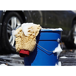 Mothers Premium Sheepskin Lambs Wool Car Wash Mitt, Scratch Free