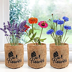 Indoor Daisy Garden Starter Kit, 5 Non-GMO Flower Seeds Planting Set with Gardening Tool Set - Jute Bags, Markers, Soil Disks and Shears, Home Gardening Gifts for Women Men Flower Plant Lovers