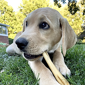Best Bully Sticks Cheeky Beef Chews - Single Ingredient, 100% Grass-Fed Beef - USA Packed - Long-Lasting, Odor Free Alternative to Bully Sticks, 6" Chews - 20 Pack