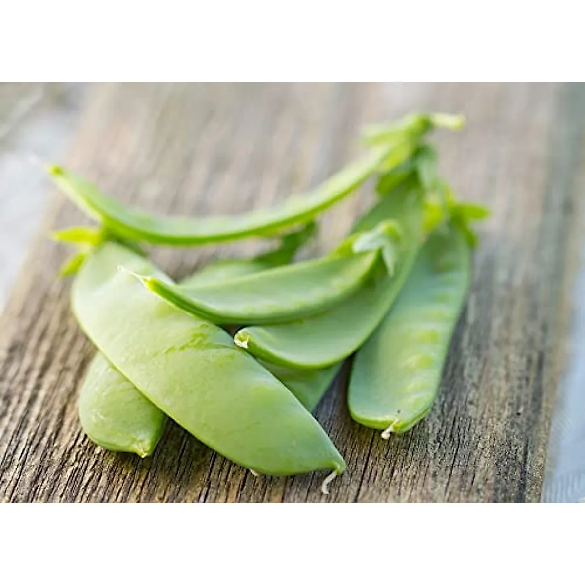 Mammoth Melting Sugar Snow Pea Seeds for Planting, 50+ Heirloom Seeds Per Packet, (Isla's Garden Seeds), Non GMO Seeds, Botanical Name: Pisum sativum, Great Home Garden Gift