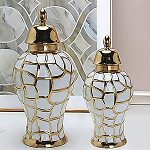 Gralara Luxury Vase Ceramic Ginger Jar with Lid, Decorative Temple Jar, Tea Tin/Tea Storage Flower Vase for Home Kitchen Dining Decoration, White Gold