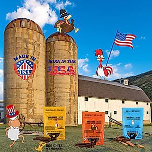 Dog Chits Turkey and Sweet Potato Soft Chew for Dogs - Dog and Puppy Chews | Made in USA | Organic Turkey | All-Natural Treats | Large & Small Dogs | Organic Sweet Potato | 4 oz.