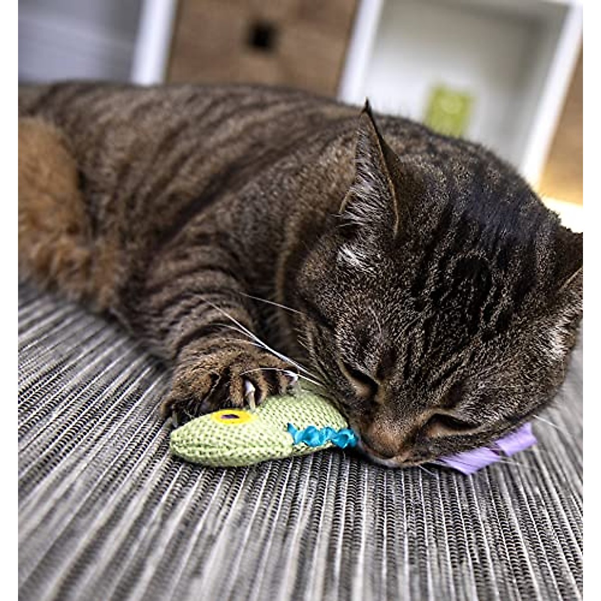 Petlinks HappyNip Crinkle Chameleon Cat Toy, Contains Silvervine & Catnip - Green, One Size