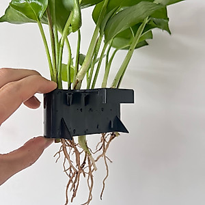 Upgrade Open Face Emerging Plant Holder, Aquarium Hanging Aquatic Plant Holder Fish Tank Decorations for Emersed Plants,Fish Tank Living Fish Shrimp (Rimmed)