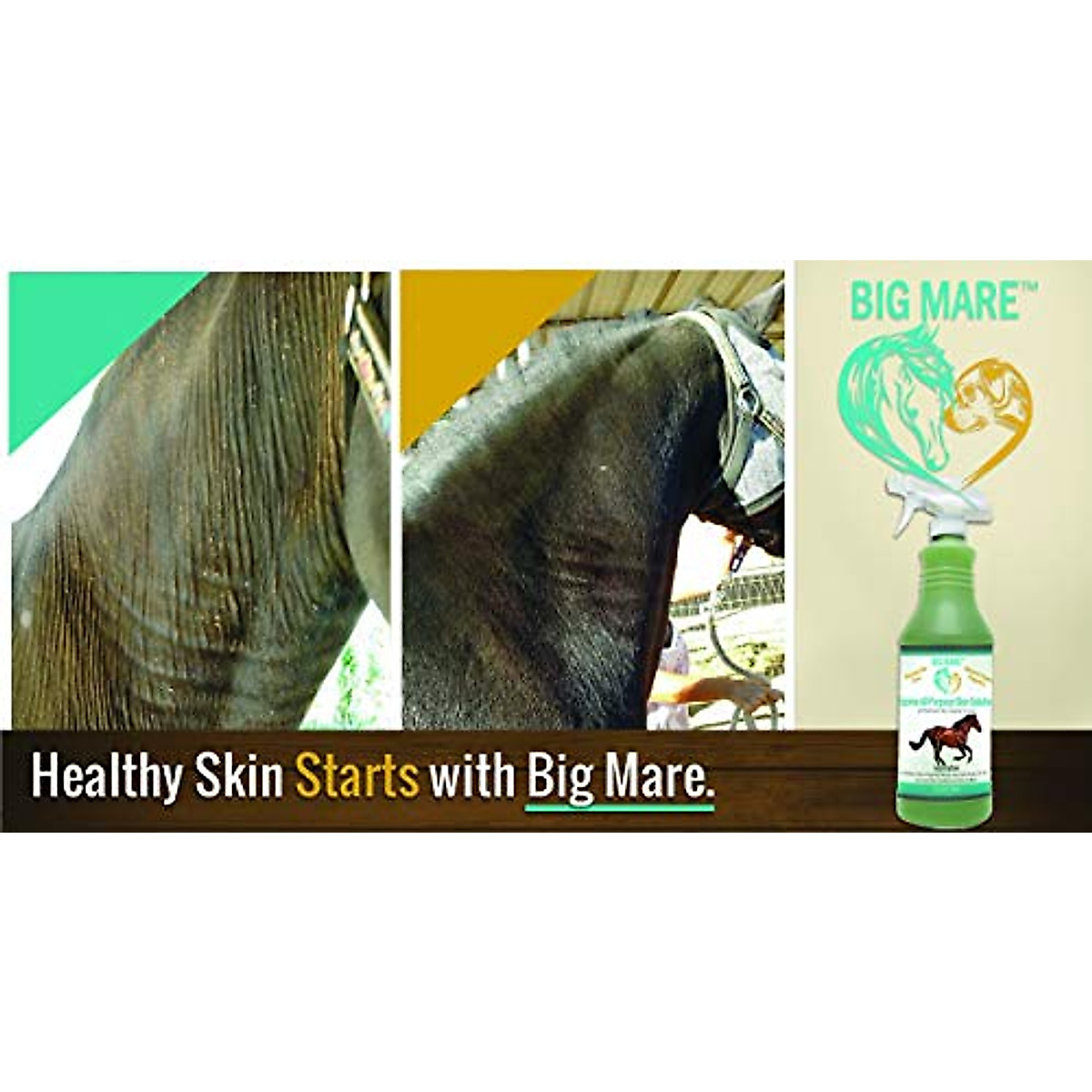 Big Mare All Purpose Horse Skin & Wound Care | 32oz Bottle | First Aid: for Girth Itch, Crud, Itchy Manes & Tails & Hair Loss | Veterinarian Approved & Recommended