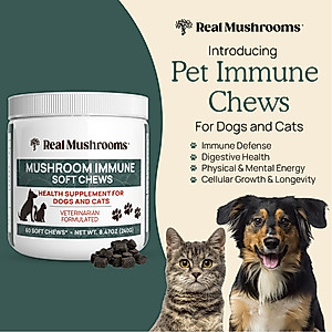 Mushroom Immune Support Pet Chews (60ct) Treats for Dogs – Immune Booster Supplements for Pets with Ashwagandha, Astragalus, Blueberry, Olive Leaf, Acerola &Gut Health for Dogs and Cats