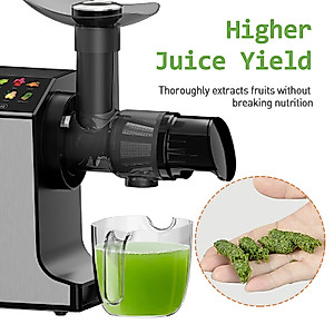 whall Masticating Slow Juicer, Professional Stainless Juicer Machines for Vegetable and Fruit, Touchscreen Cold Press Juicer with 2 Speed Modes
