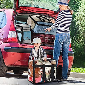 Fixwal Clear Clothes Storage Bags PVC Organizers Vinyl Bags for Comforter,Blanket,Bedding,Duvet,Transparent Moving Totes with Reinforced Handle & Zipper, 4 Pack 18x15x9 Inch