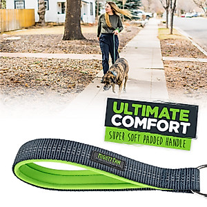 Mighty Paw Chain Dog Leash - Anti Bite Pet Lead - Stainless Steel Links - Reflective Padded Handle - Carabiner Clip - Chew Proof for Strong Dogs - 4’ Dog Walking Chain Leash - Leash Metal (Grey/Green)