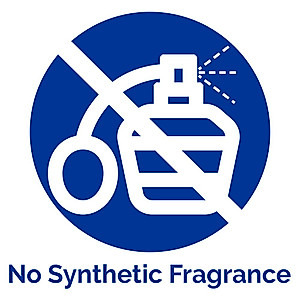 LATHER Bamboo Lemongrass Shampoo & Conditioner Set - Gentle Daily Moisturizing Shampoo & Hair Detangler Conditioner for All Hair Types - Lightweight, Non-Greasy, Sulfate Free - 8 Fl Oz Bottles