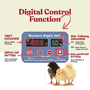 Manna Pro Harris Farms Nurture Right Egg Incubator for Hatching Chicks - Holds 22 Eggs - Automatic Egg Turner with Temperature and Humidity Control - 360 Degree View With Clear Window
