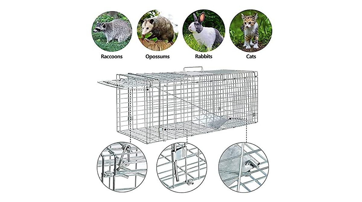 Humane 32" Animal Trap for Cats & Small Animals