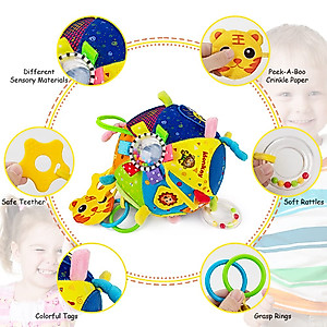 Busy Sensory Ball Baby Toys for 0-12 Months,Developmental Activity Ball Infant Toys with Baby Rattles Teether Crinkle Sounds,Discover Ball Gifts,Easy to Grasp Encourage Tummy Time Fine Motor Skills