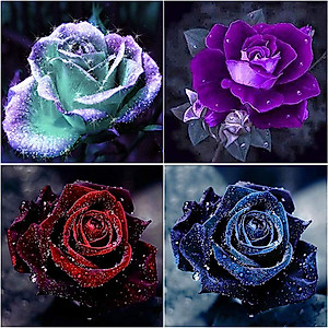 4 Pack Diamond Painting Kits for Adults 5D Rose Flower Diamond Art Kit for Beginners, DIY Paint with Round Full Drill Diamonds Paintings Gem Art for Christmas Home Wall Decoration Gift 11.8x11.8in