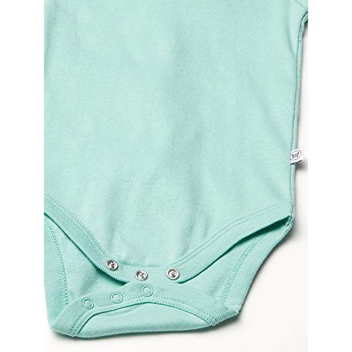 HonestBaby 10-Pack Organic Cotton Short Sleeve Bodysuits, Rainbow Boy, 0-3 Months