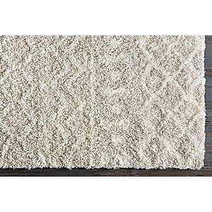 Livabliss Hapsburg Moroccan Shag Runner Area Rug,2'7" x 14',Beige