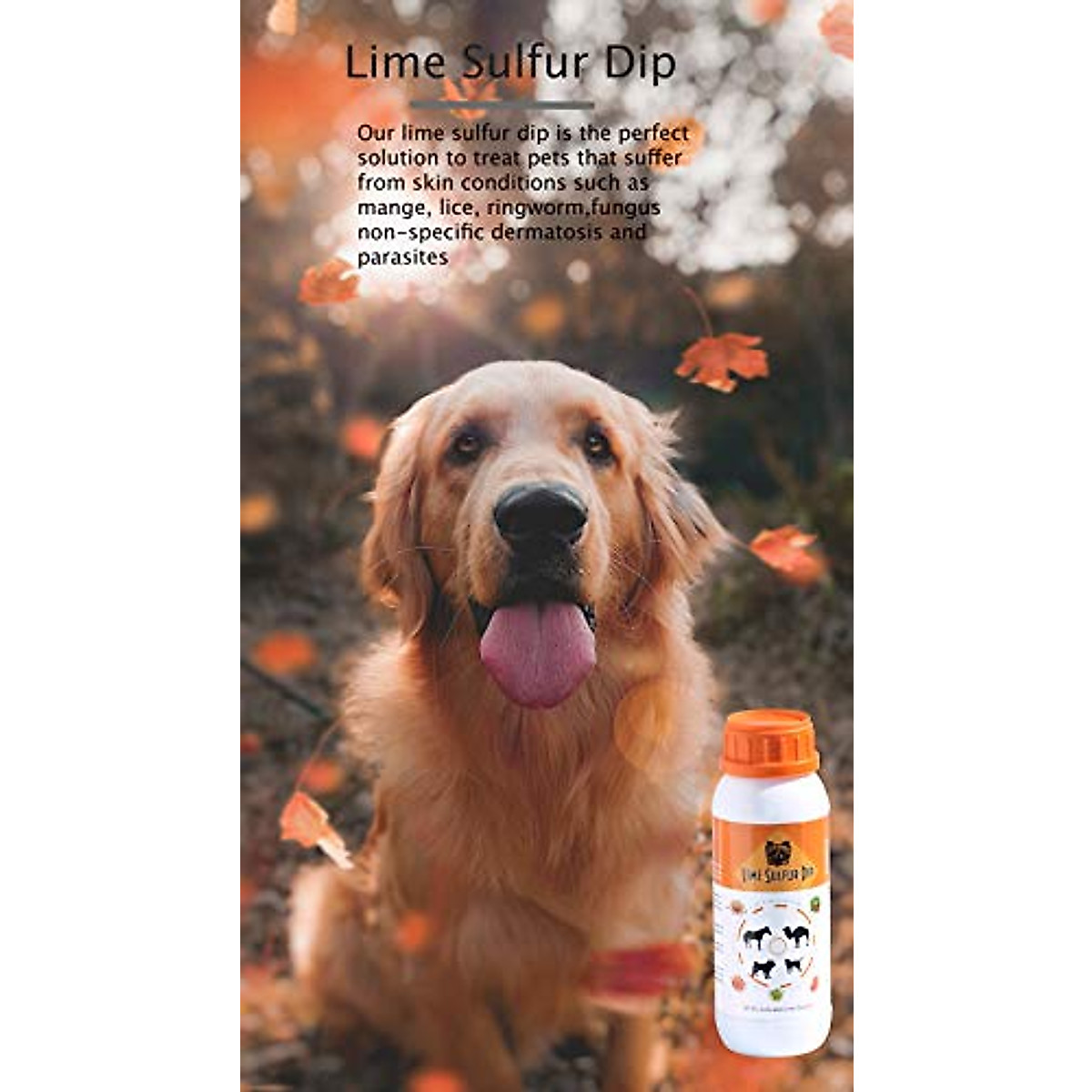 Classic's Lime Sulfur Dip - Pet Care for Itchy and Dry Skin - Xtra Strength Formula - Safe Solution for Dog, Cat, Puppy, Kitten, Horse (16 fl oz)