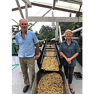 100% Kona Coffee – Whole Bean, Medium roast, Single estate gourmet coffee, 16 ounces, Farm fresh roasted from Domain Kona Coffee