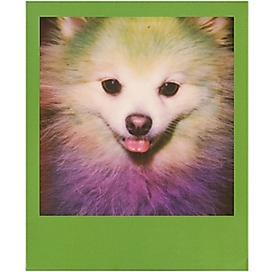 Polaroid Originals Color Frames Edition Instant Film for 600 Cameras Bundle (40 Exposures) (3216573518)