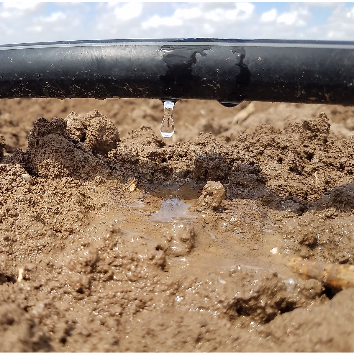 100ft Roll - Premium USA Made Drip Tape Irrigation Tubing P1 5/8 15MIL .17GPH 8" Inch Spacing Professional Agricultural Water Line