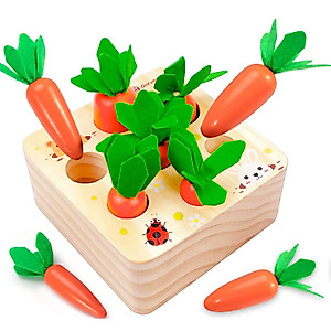 SGVV90 Shape Sorting Matching Montessori Wooden Toy, Farm Harvest Stem Puzzle Game with 7 Sizes Vegetables and Fruits, Developmental Preschool Educational Gifts for Toddlers (Carrot)