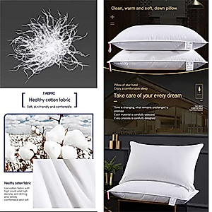 CHUNYU Natural White Goose Down Pillow Five-Star Hotel Feather Pillows Bedding for Home Sleeping 48x74cm 1pc