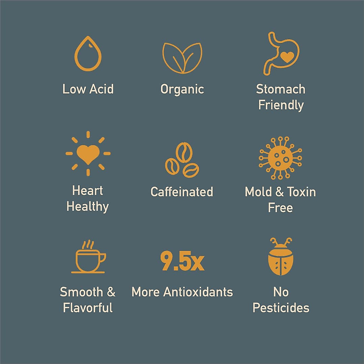 Healthy Bean Coffee - Espresso, Low Acid Coffee | Whole Bean, Organic | - 11oz.