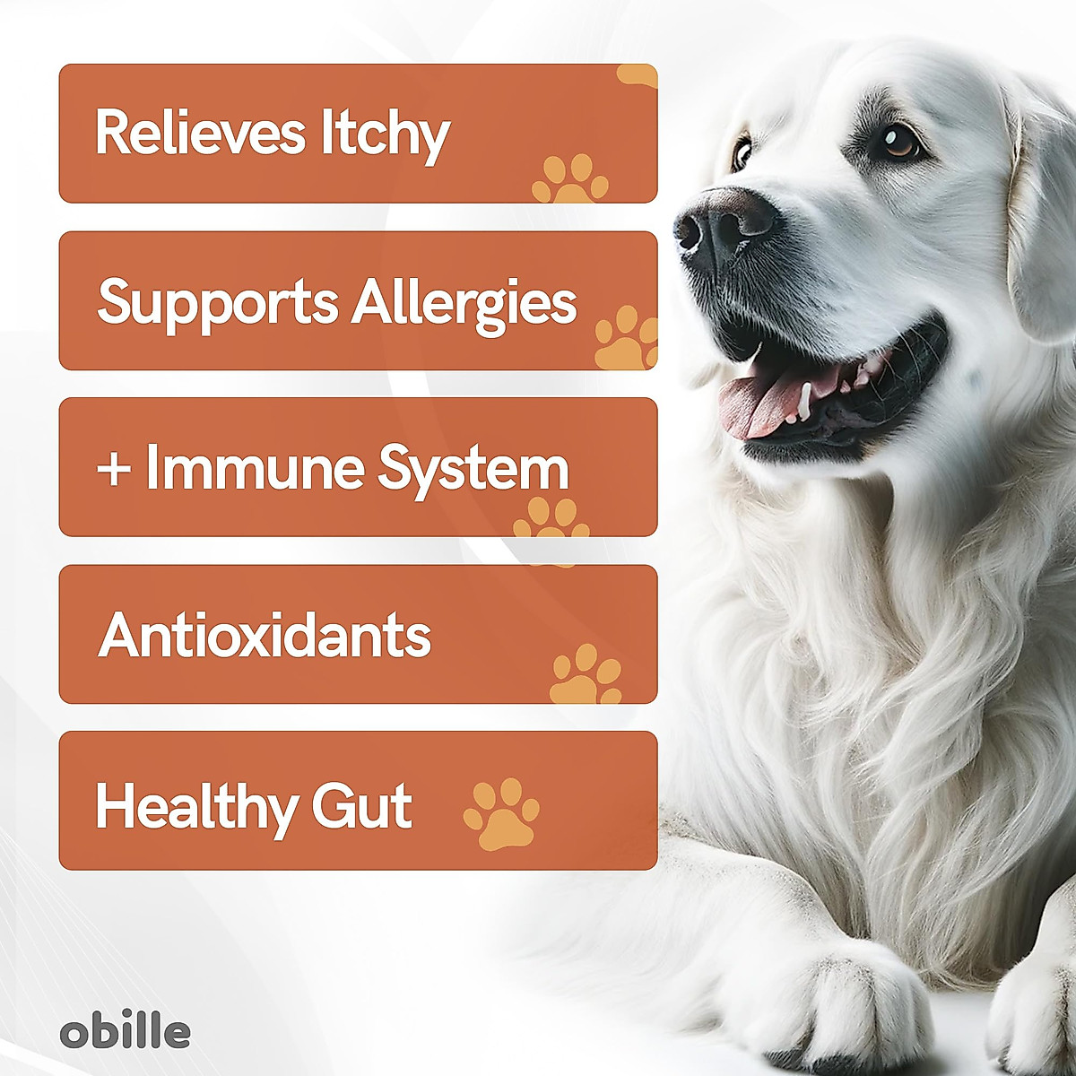 Obille Allergy Aid for Dogs 160 Chews 12 oz – Relieves Itchy Skin, Healthy Coat, Safe Natural Ingredients, Antioxidant Immunity Booster with Omega3 & Turmeric