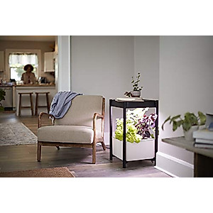 Miracle-Gro Twelve Transplanting Kit, Includes 4 Coir Liners and 4 Large Net Cups - Use Twelve Indoor Growing System - Designed for Growing Plants in Hydroponic Systems (Pack of 2)