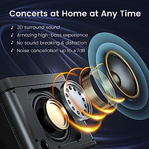 Flyasny Karaoke Machine for Adults and Kids, Portable Bluetooth Karaoke Speaker with 2 Wireless Microphones for TV, Singing Karaoke for Home Party, Great Gifts for Boys and Girls