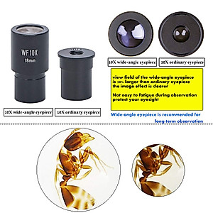 DM-WF001 10X Widefield Eyepiece,Microscope Eyepiece Lens,23.2mm Lens for Compound Biological Microscopes,Industry Microscope