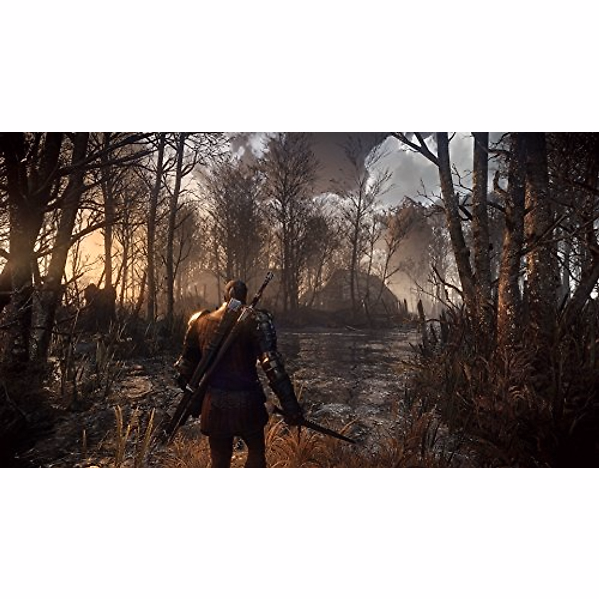 The Witcher: Wild Hunt (Comic Bundle) - PlayStation 4