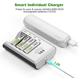 EBL Smart AA AAA Battery Charger for 1/2/3/4 AA AAA NiMH NiCD Rechargeable Batteries - Freely Charged by Power Bank, Adapter