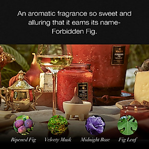 Voluspa Forbidden Fig, Large Candle Jar, 18 oz, 100 Hour Burn Time, Coconut Wax for Clean Burning, Handcrafted in the USA