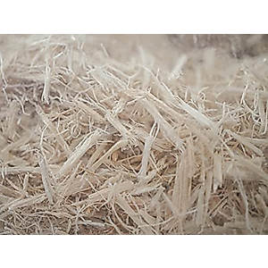 Josh's Frogs Awesome Aspen (10 quarts)