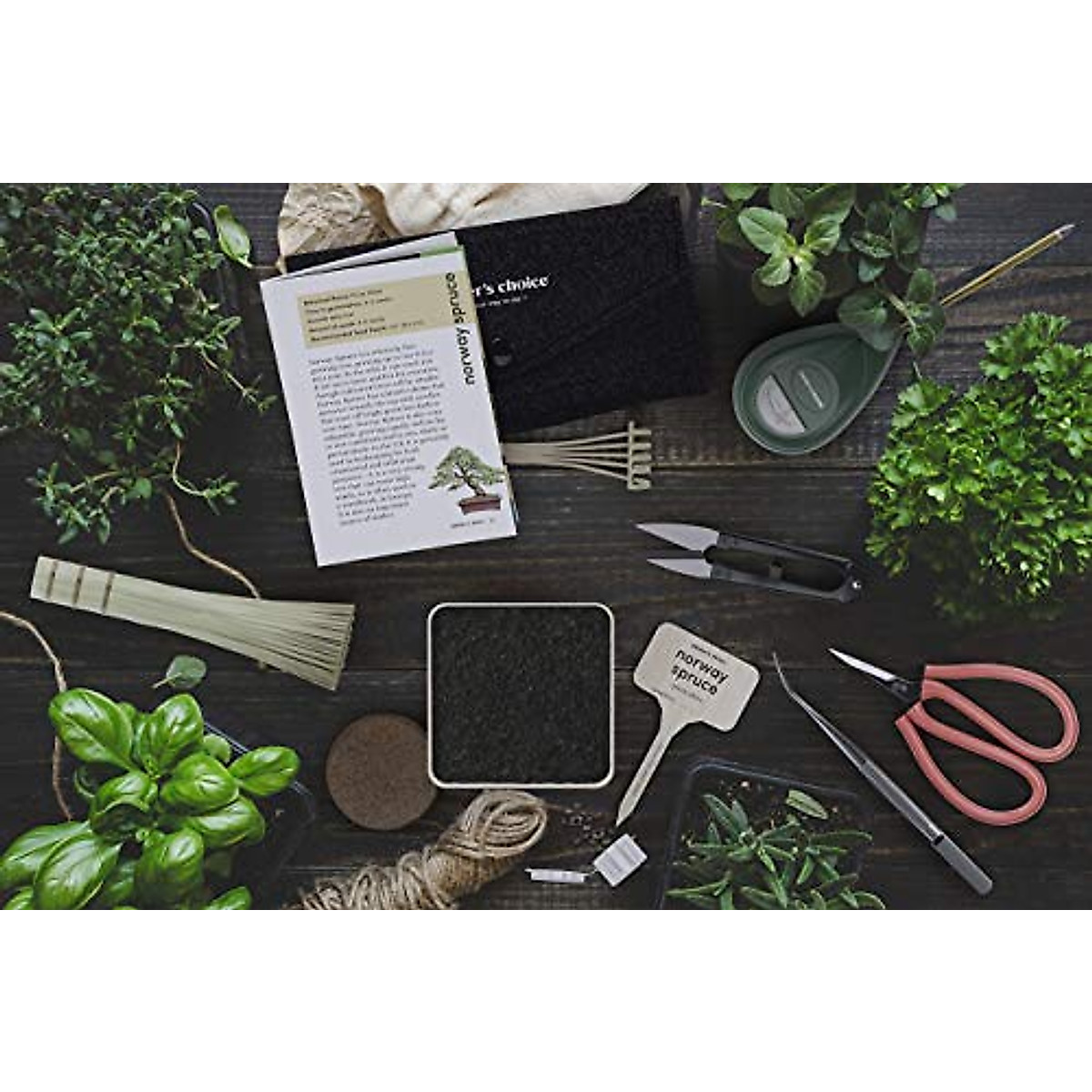 Planters' Choice Indoor Plant Moisture Meter Soil Tester - No Batteries Required : Water Sensor Hydrometer for Plants : Houseplant Care - Gardening Tools - Planting Accessories