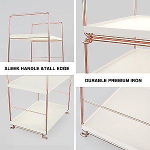 Desktop Cosmetics Storage Rack Rose Gold 2/3 Layers Bathroom Makeup Organizer Assembled Kitchen Seasoning Iron Storage Shelves (2-LAYERS)