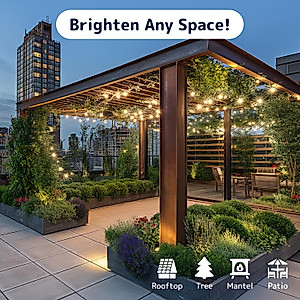 PREXTEX Christmas Lights (20 Feet, 100 Lights) - Clear White Christmas Tree Lights with Green Wire - Indoor/Outdoor Waterproof String Lights - Warm White Twinkle Lights