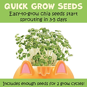 Creativity for Kids Plant-A-Pet: Kitty - Arts and Crafts for Ages 6-8+, Gifts for Girls and Stocking Stuffers, Boy and Girl Toys, Chia Seed Plant Pet