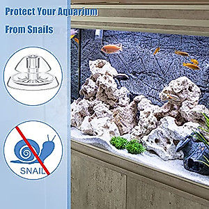 Honeydak 4 Pieces Snail Trap Plastic Aquarium Snail Trap for Fish Tank Clear Snail Catcher Fish Plants Leech Planarian Catch Box for Aquarium Fish Tank