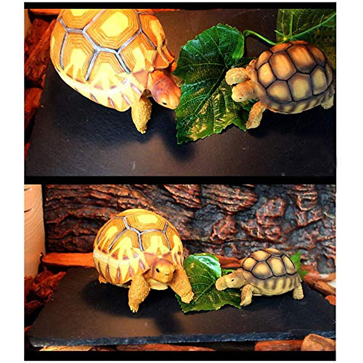 Tfwadmx Reptile Basking Platform, Tortoise Feeding Dish, Natural Rock Reptile Food Bowl Landscape Habitat Decor for Turtle Lizard Bearded Dragon Crested Gecko Snake