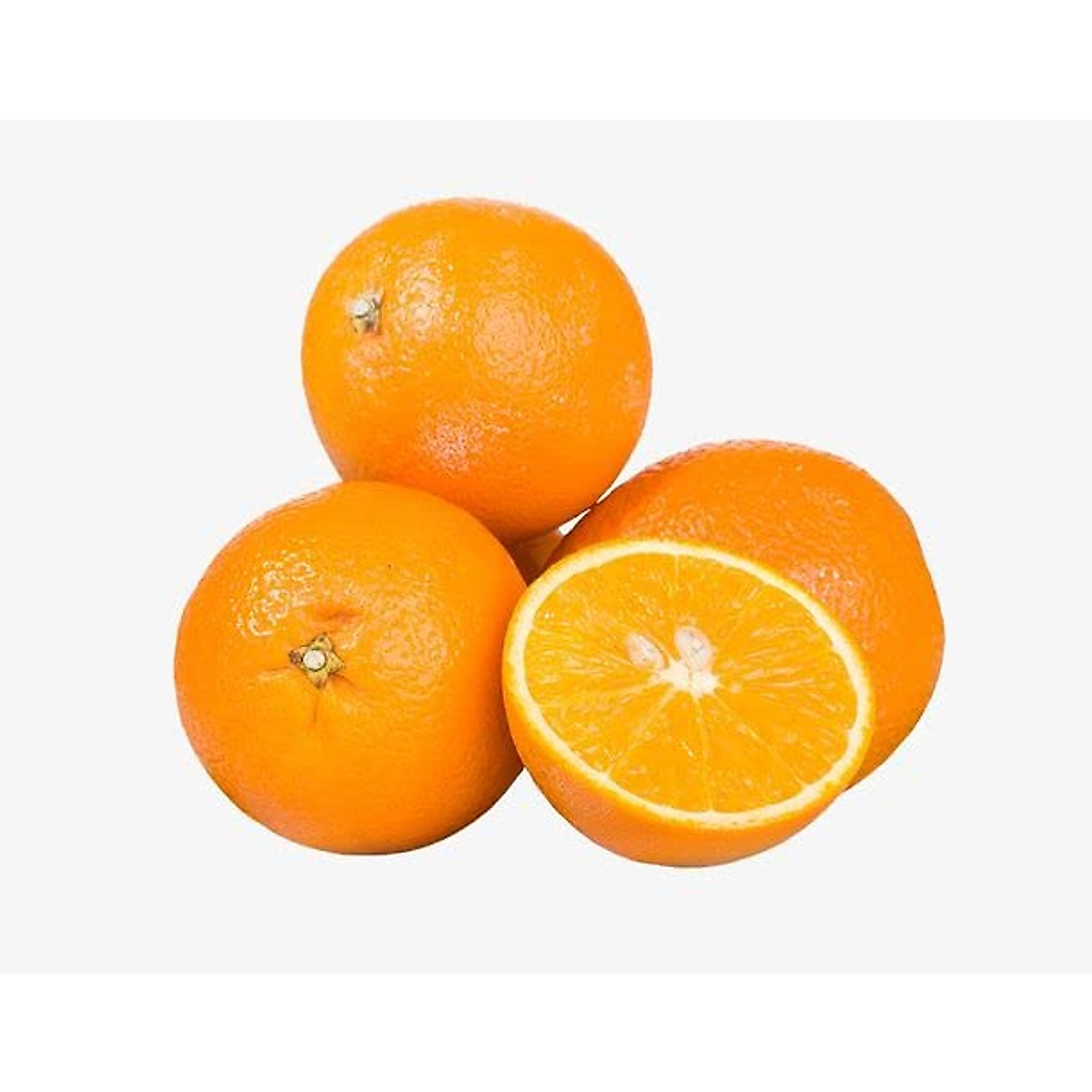 Bonsai Orange Tree Seeds, 40 Seeds,Grow a Delicious Fruit Bearing Bonsai Tree