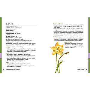 Flower Gardening for Beginners: A Guide to Growing and Maintaining a Cut-Flower Garden