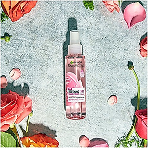 Garnier SkinActive Facial Mist Spray with Rose Water, 4.4 Fl Oz (Pack of 1)