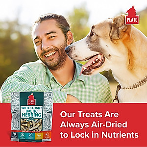 PLATO Pet Treats Fish Dog Treats - Air-Dried, Single Ingredient Dog Treat - with Omega 3 & 6 Fatty Acids to Support Skin and Coat - 100% Whole Fish - Wild Caught Baltic Herring Dog Treats - 3oz