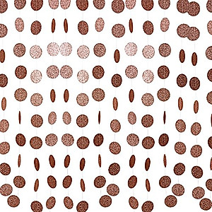 Rose Gold Glittery Bubbly Bar Banner and Rose Gold Glittery Cicle Dots Garland- Bachelorette Bridal Shower Engagement Wedding Party Decorations Bubbly Bar Sign