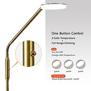 O’Bright Moon - Dimmable LED Floor Lamp, Adjustable Color Temperature for Bedside Reading, Work Light, Art/Crafting Light, Sewing, Ultra Flexible Gooseneck, Rotatable Lighting, Antique Brass (Gold)
